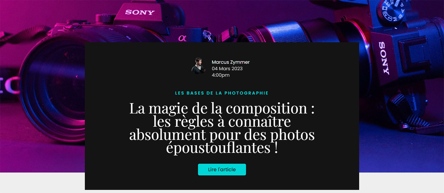 L'art de la composition : des conseils pratiques pour les débutants ...